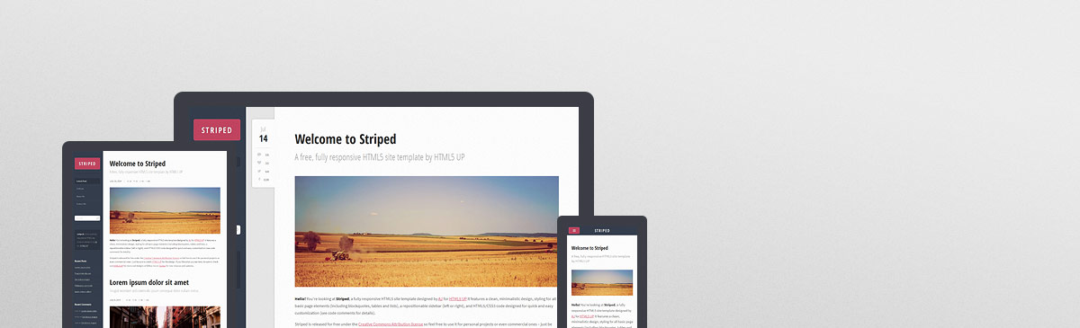 Template Html5 Free Responsive Pulp